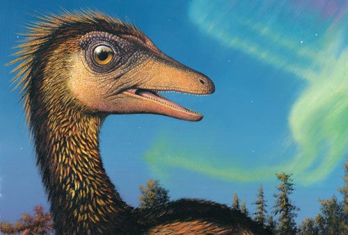 Dinosaurs of the Arctic Thrived in Cold Darkness - Scientific American