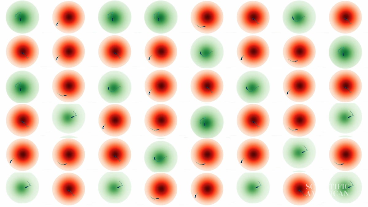 These Researchers Are Putting Fly Babies into Virtual Reality ...