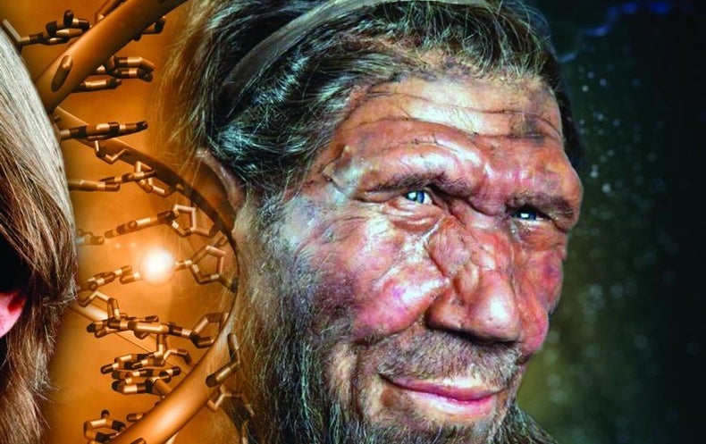 Health Care Let Neandertals "Punch above Their Weight" - Scientific ...