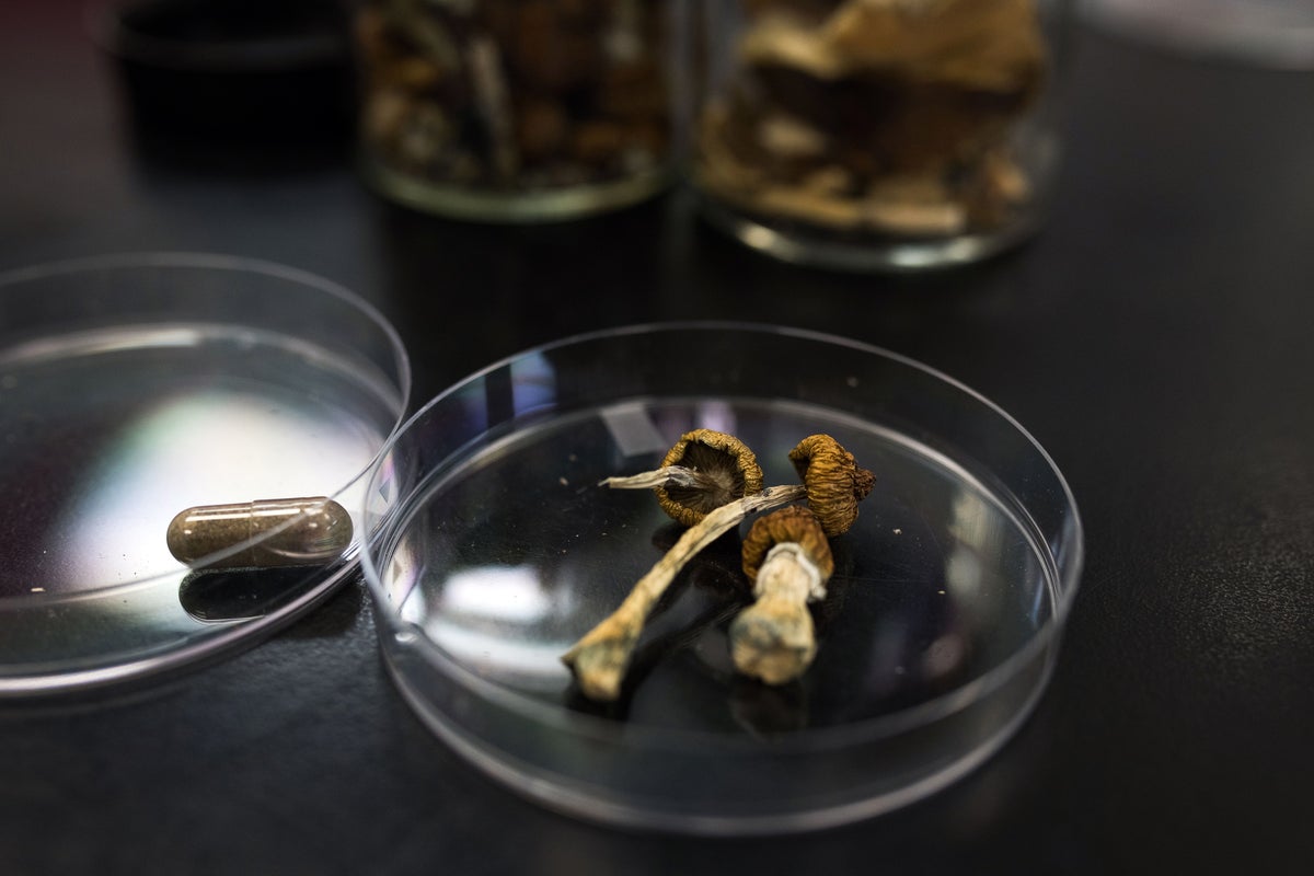 Two Cancer Patients Battle to Make Psilocybin Accessible for Palliative ...