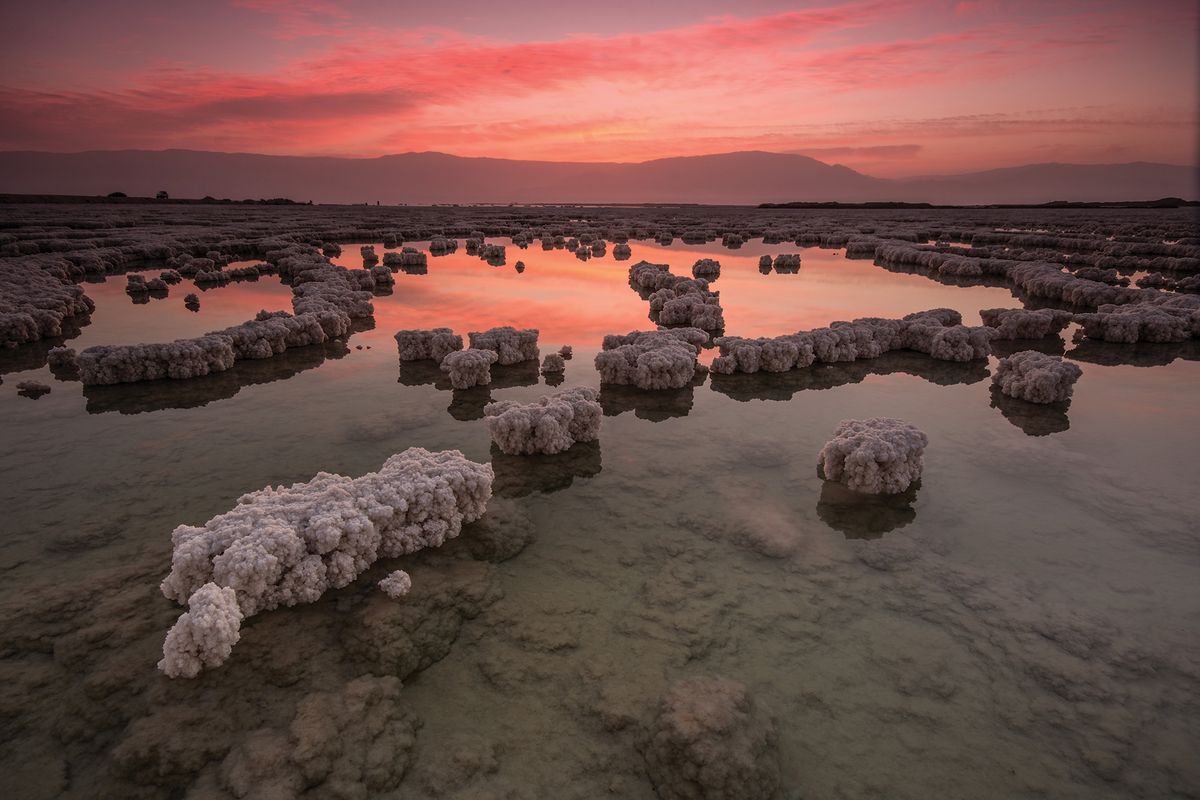 The Not So Dead Sea: Traces of Ancient Bacteria Found in the Lake's ...