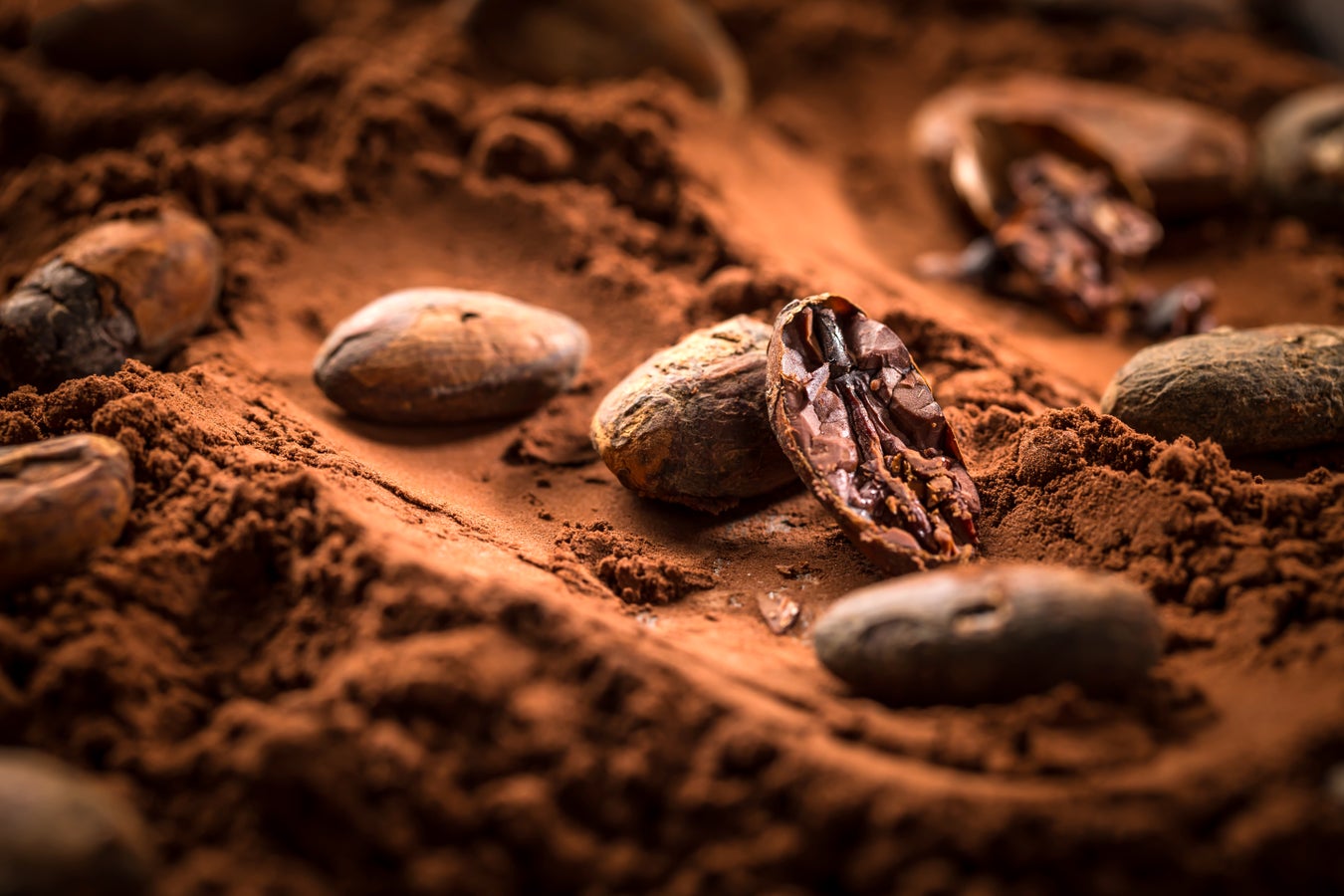 How Pollination Affects Chocolate Production | Scientific American