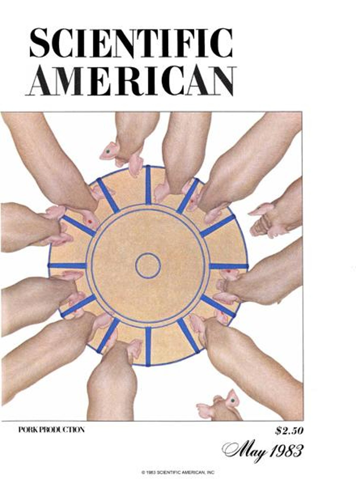 Scientific American Volume 248, Issue 5 | Scientific American