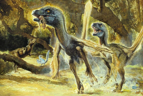 Dinosaur Feathers Came before Birds and Flight - Scientific American