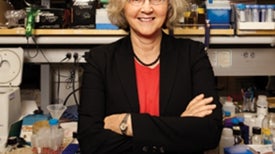 Stories by Thea Singer - Scientific American