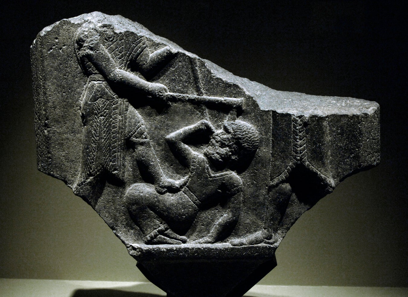Ancient Skulls Reveal Shifts in Human Violence across Millennia ...