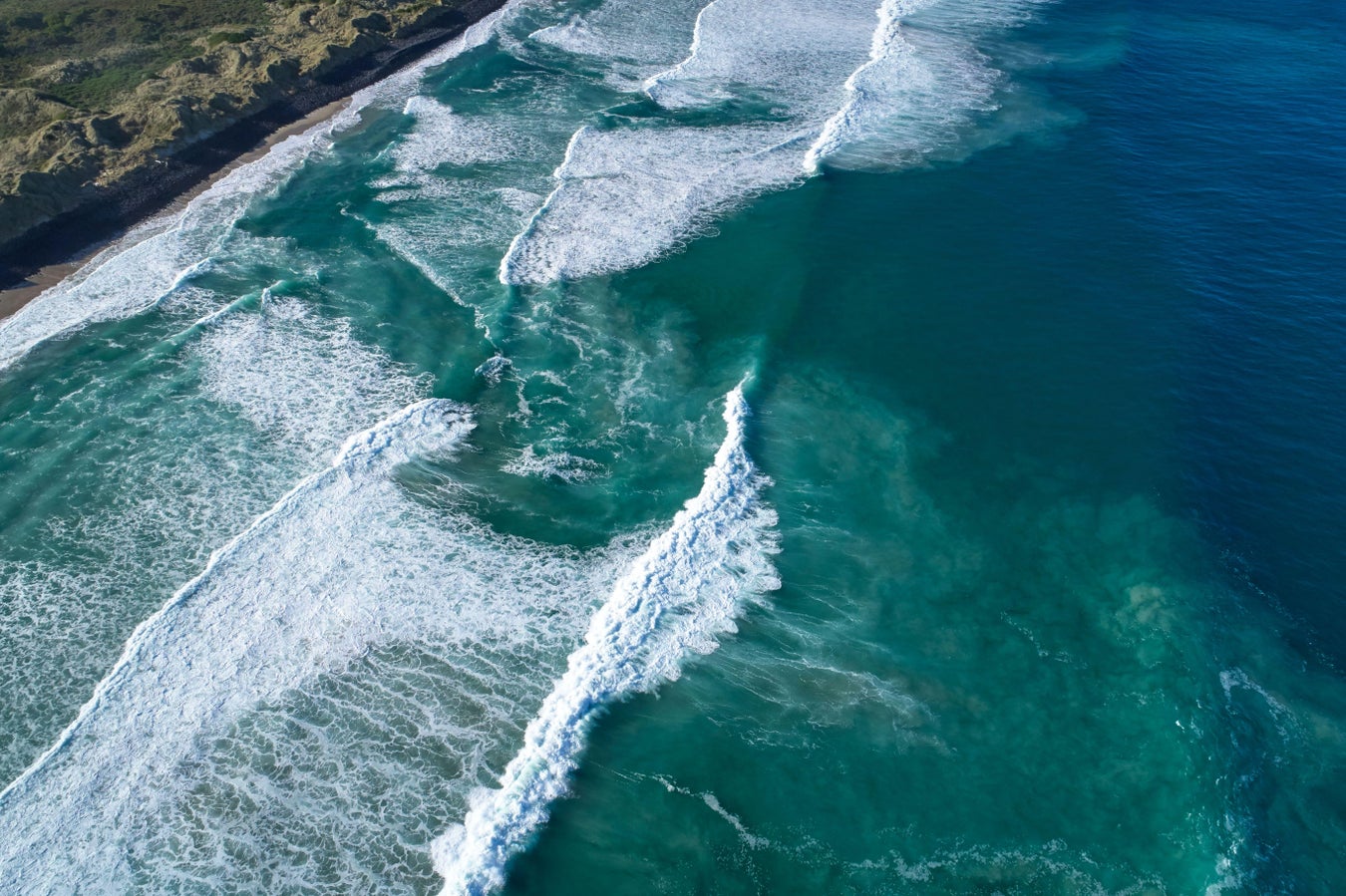 Dangerous Rip Currents Give Marine Life a Speed Boost | Scientific American
