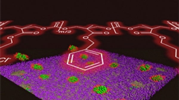 Bursting MRSA's Bubble: Using Nanotech to Fight Drug-Resistant Bacteria ...