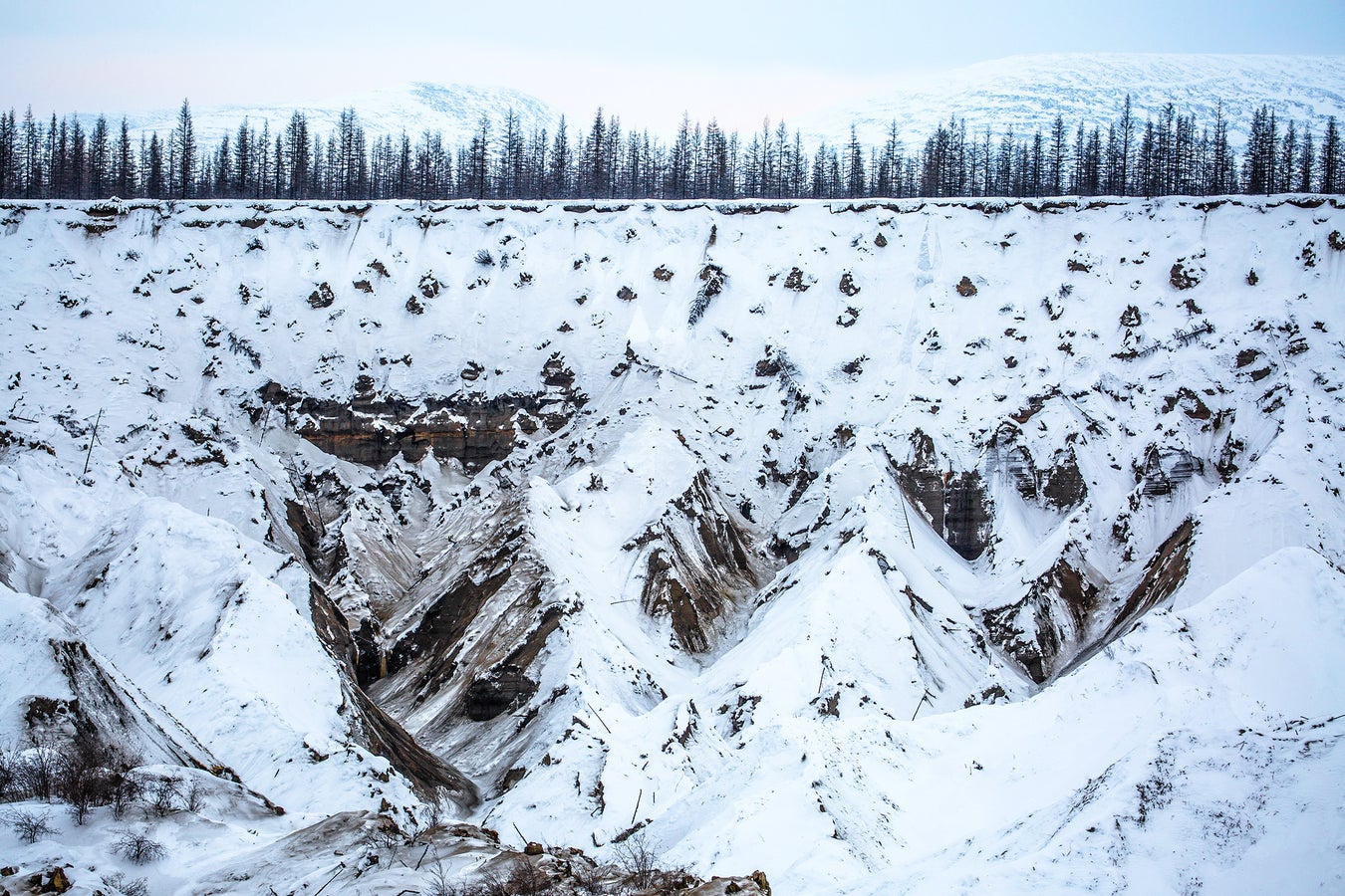 Deep Frozen Arctic Microbes Are Waking Up | Scientific American