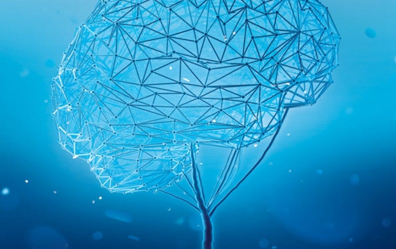 Brain-Hacking Software Can Decode Your Knowledge and Dreams ...