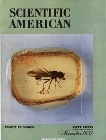 The Rare Earths - Scientific American