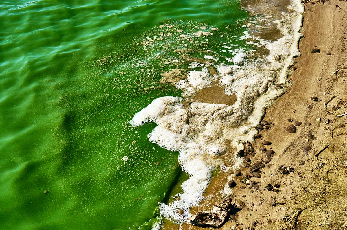 Invisible Ink War: How Chemists Revealed Germany’s Secret WW I Writing ...