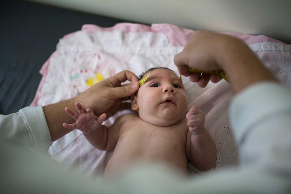 What Would It Take to Prove the Zika–Microcephaly Link? | Scientific ...