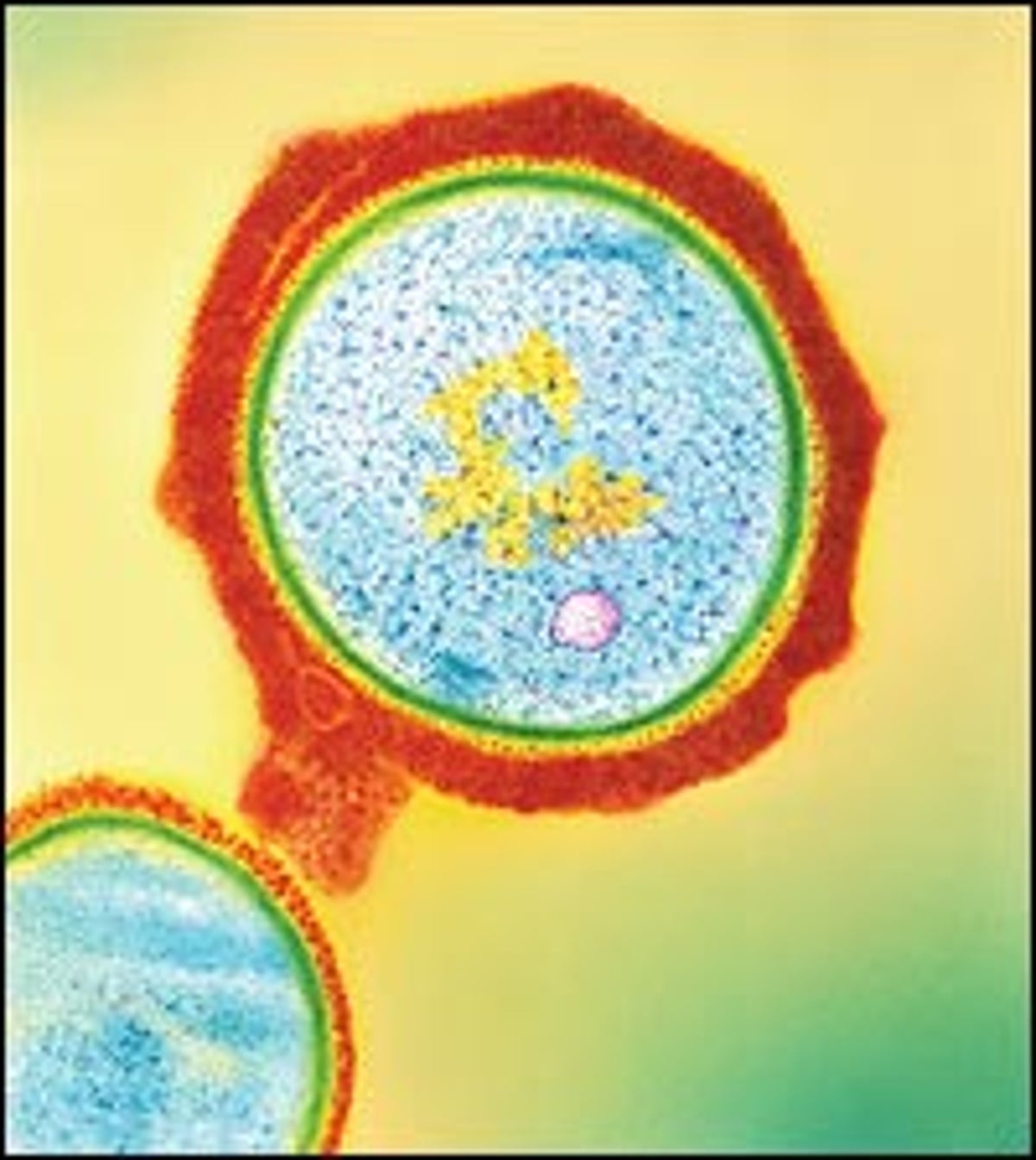 Meet Resistance Head-On | Scientific American