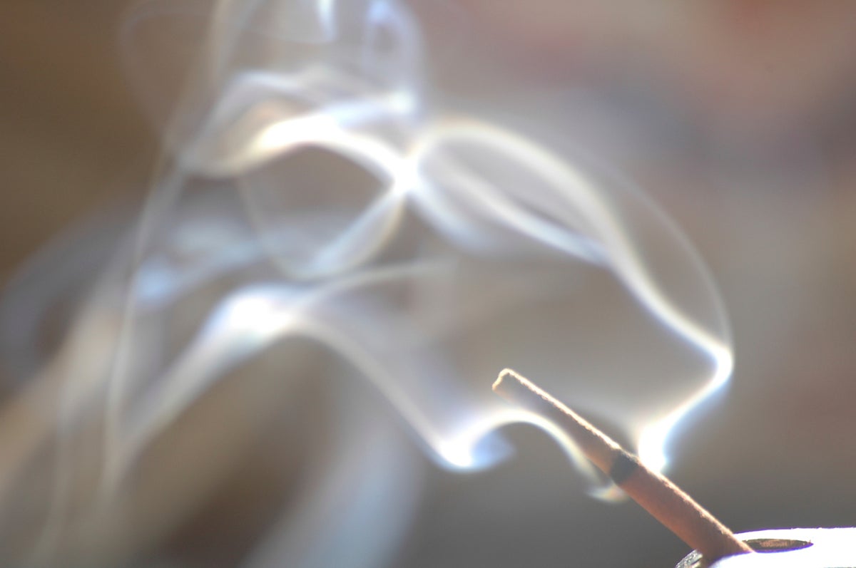 What a Smell Looks Like | Scientific American