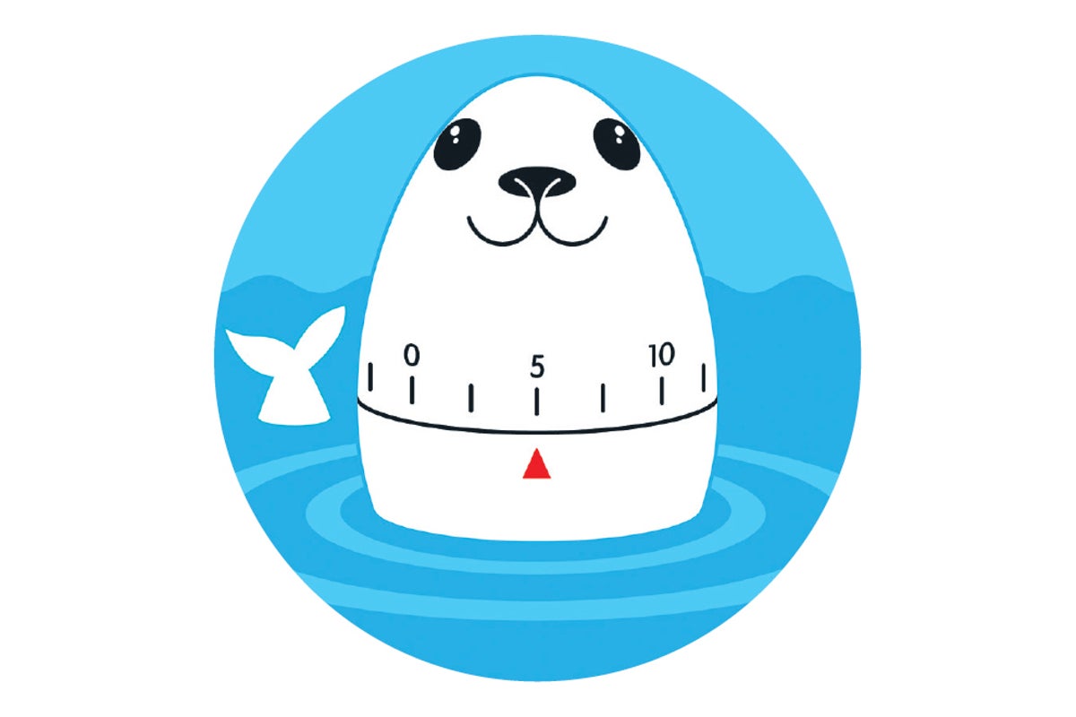 The Remarkable Timing of Seals | Scientific American