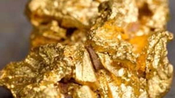 Bacteria Found to Thrive on Gold - Scientific American