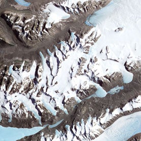 Bugs in the Ice Sheet - Scientific American