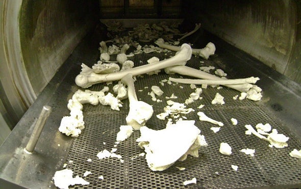 Dissolve the Dead? Controversy Swirls around Liquid Cremation ...