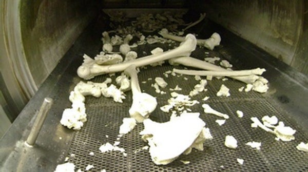 Dissolve the Dead? Controversy Swirls around Liquid Cremation ...