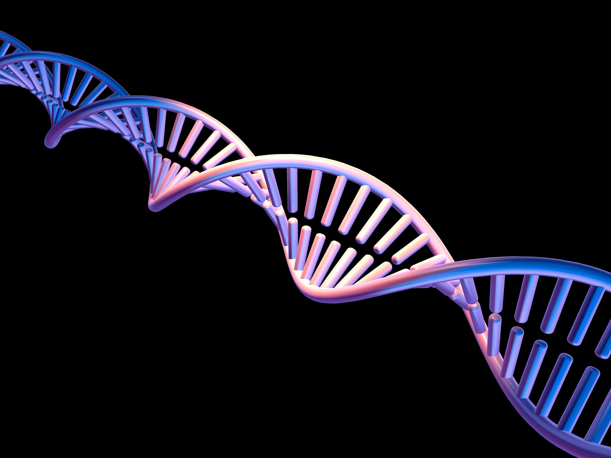 4 New DNA Letters Double Life s Alphabet Scientific American 4 New DNA Letters Double Life s Alphabet Scientific American