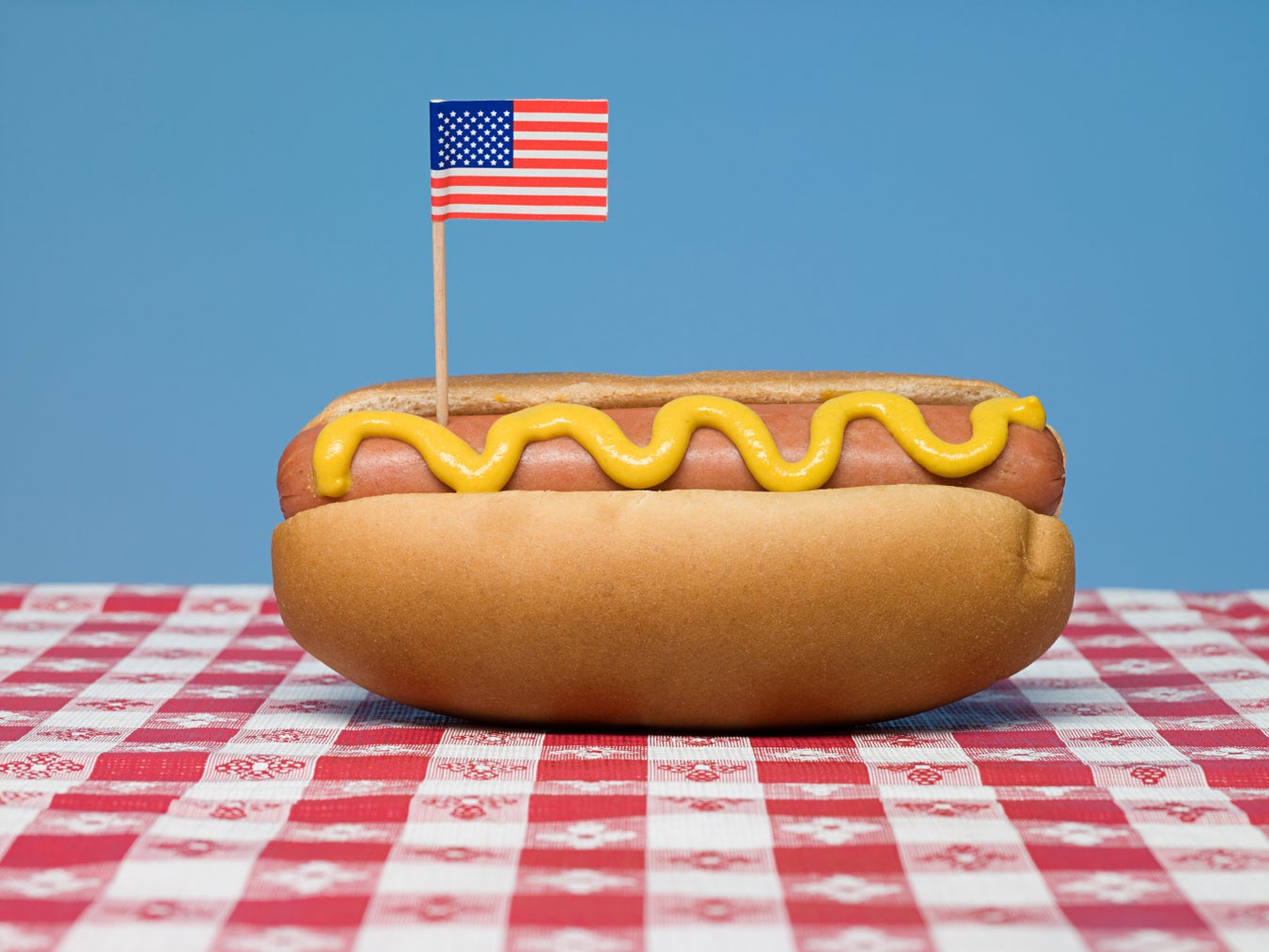 Some Hot Dog Histology | Scientific American