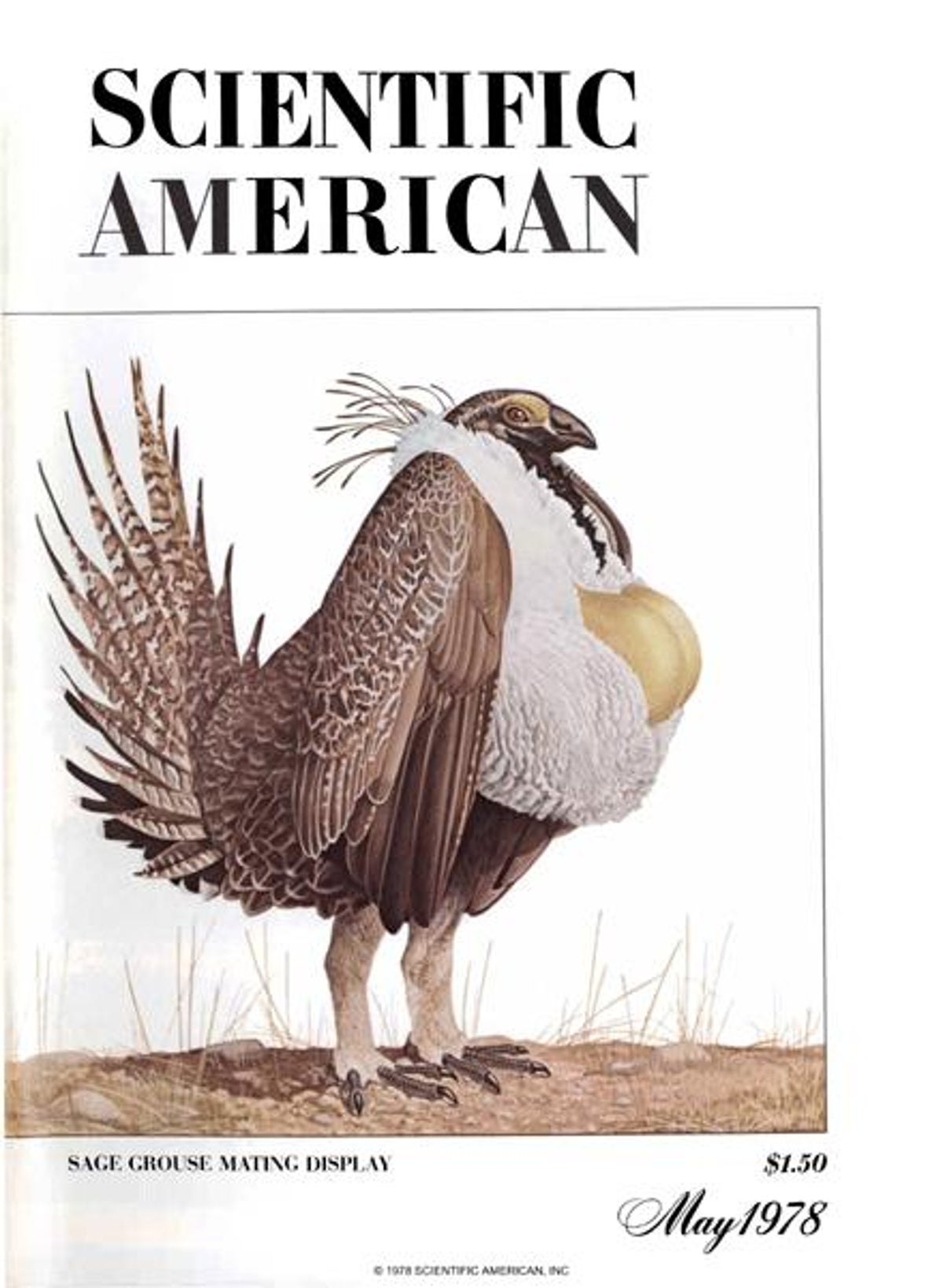 Scientific American Volume 238, Issue 5 | Scientific American