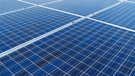 Stories by Bobby Magill - Scientific American