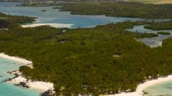 Long-Lost Continent Found under the Indian Ocean - Scientific American