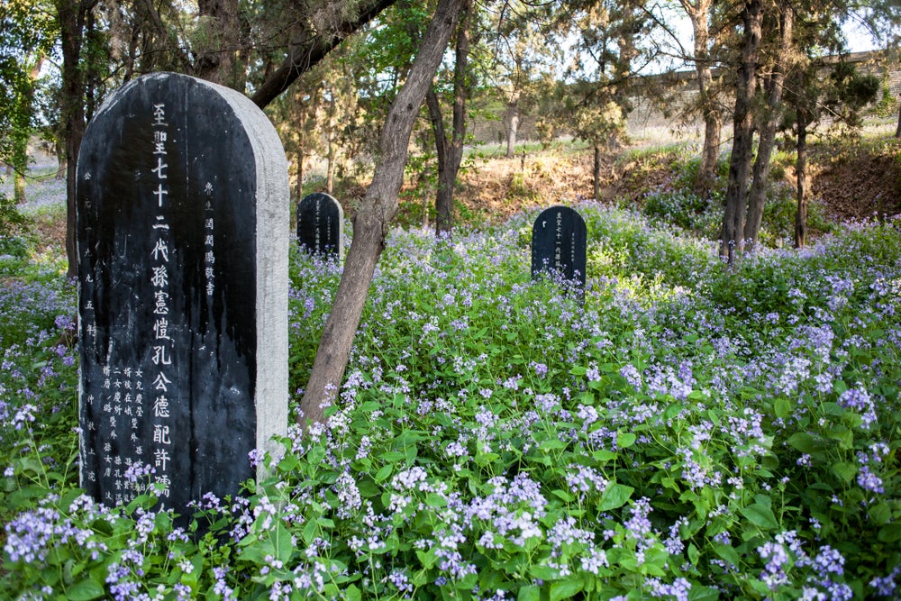 Graveyards Are Surprising Hotspots for Biodiversity | Scientific American