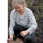 Scientific American Magazine Vol. 302 No. 3 | Scientific American