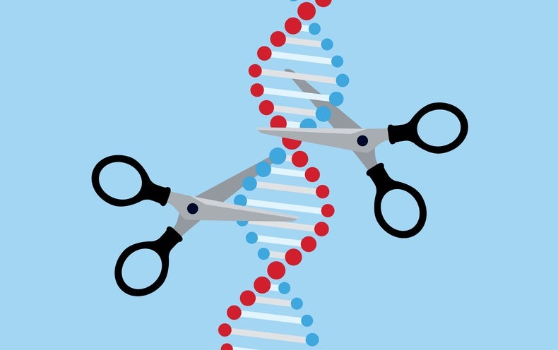 Russian "CRISPR Baby" Scientist Has Started Editing Genes in Human Eggs ...