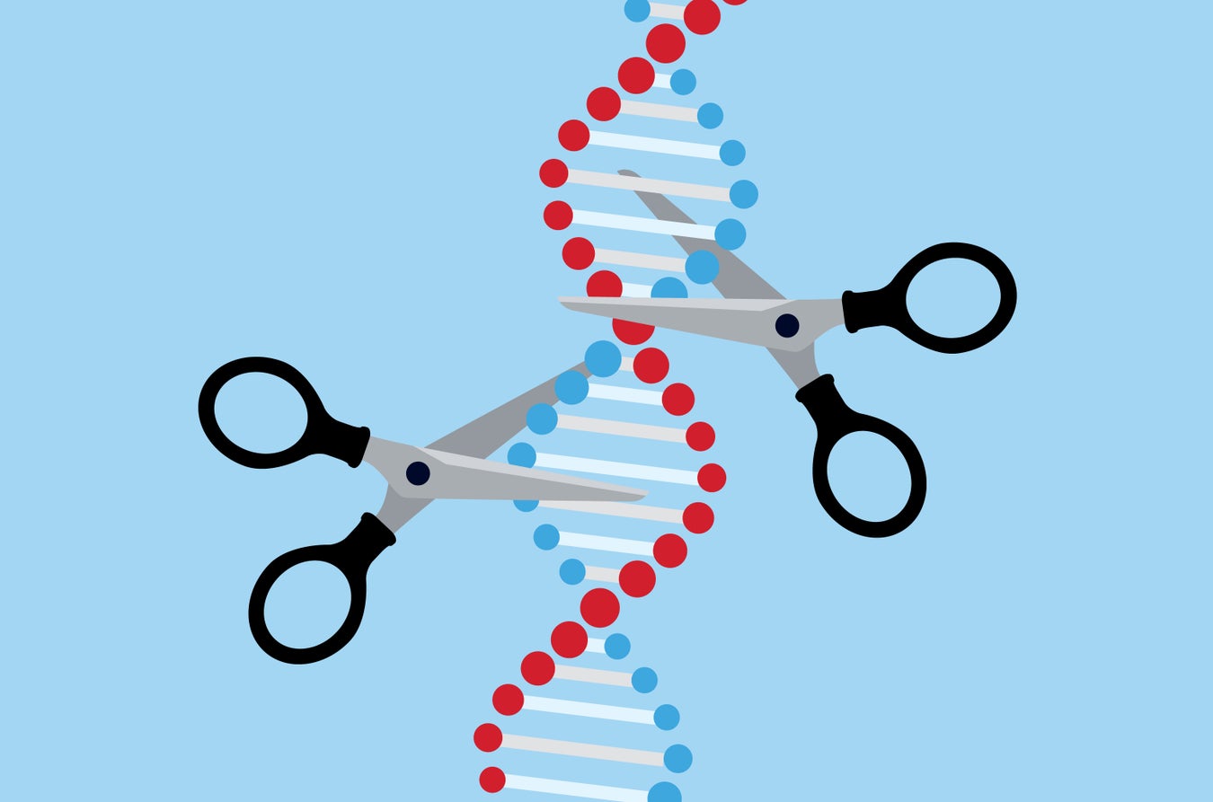Russian "CRISPR Baby" Scientist Has Started Editing Genes in Human Eggs ...