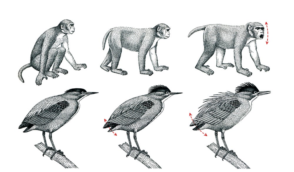 50, 100 & 150 Years Ago: September 2022 | Scientific American