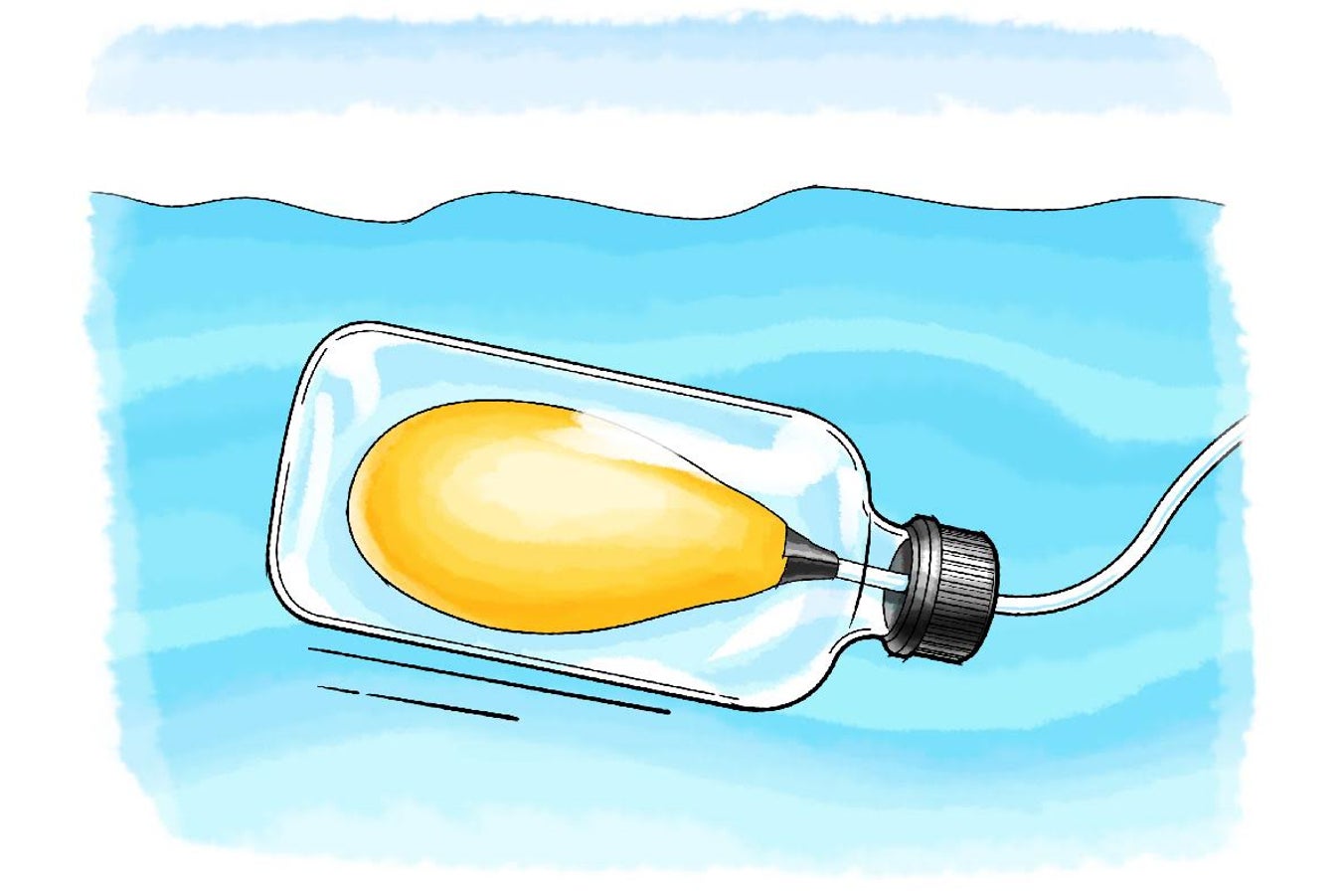 Floating with a Swim Bladder | Scientific American