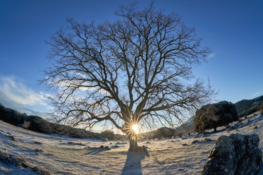 The Winter Solstice Has a Surprising Secret | Scientific American