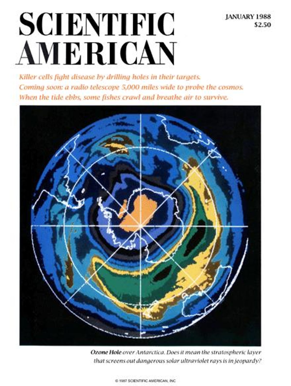Scientific American Volume 258, Issue 1 | Scientific American
