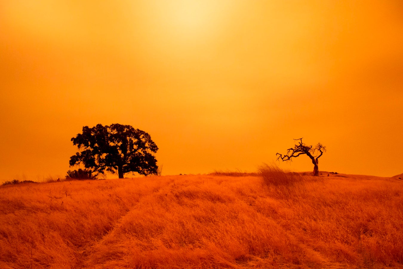 The Earth Is on Fire | Scientific American