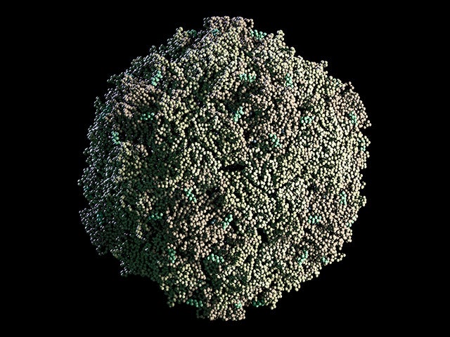 Polio Resurfaces in Laos - Scientific American