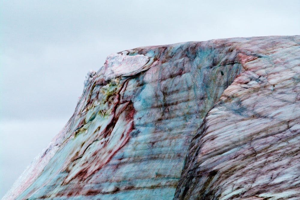 Algae May Be Melting the Greenland Ice Sheet | Scientific American