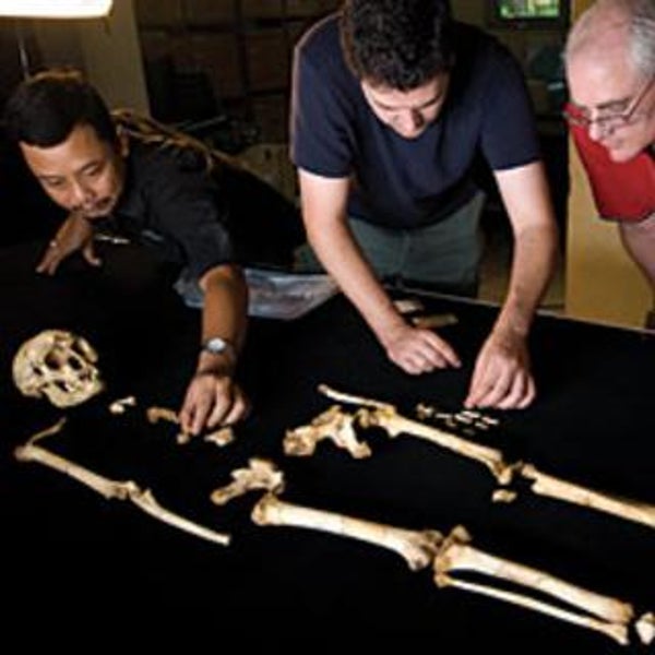 Rethinking Hobbits What They Mean For Human Evolution Scientific