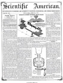 Sardines - Scientific American