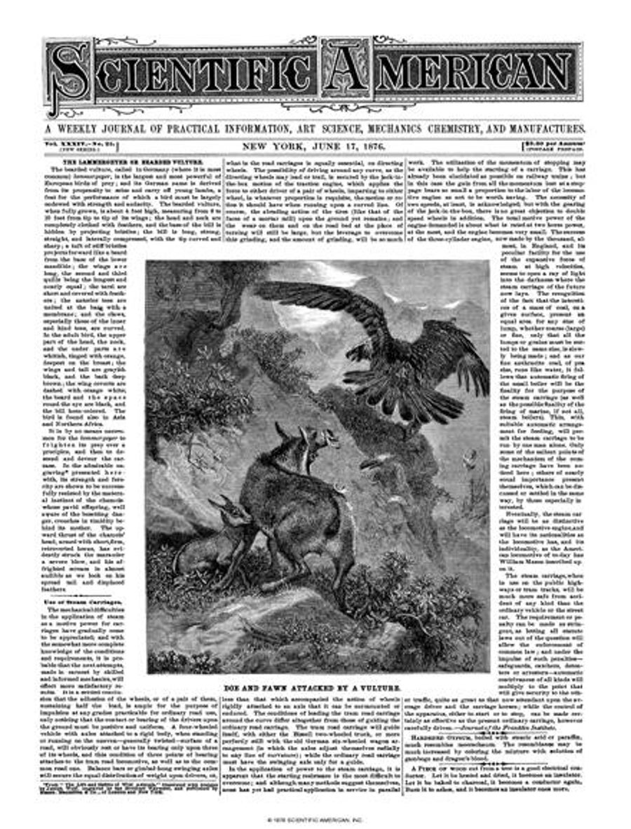 Scientific American Volume 34, Issue 25 | Scientific American