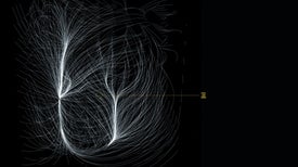 Stories by R. Brent Tully News and Research - Scientific American