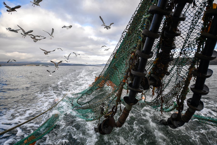 Ocean Trawling May Release Locked-Away Carbon | Scientific American