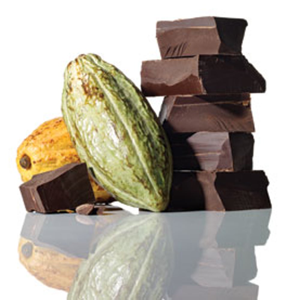The Future of Chocolate | Scientific American