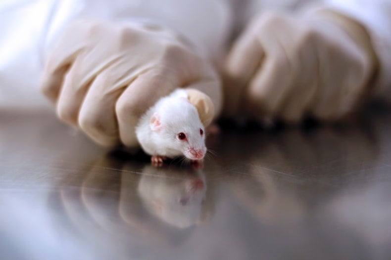 Legal Tussle Delays Launch of Huge Toxicity Database - Scientific American