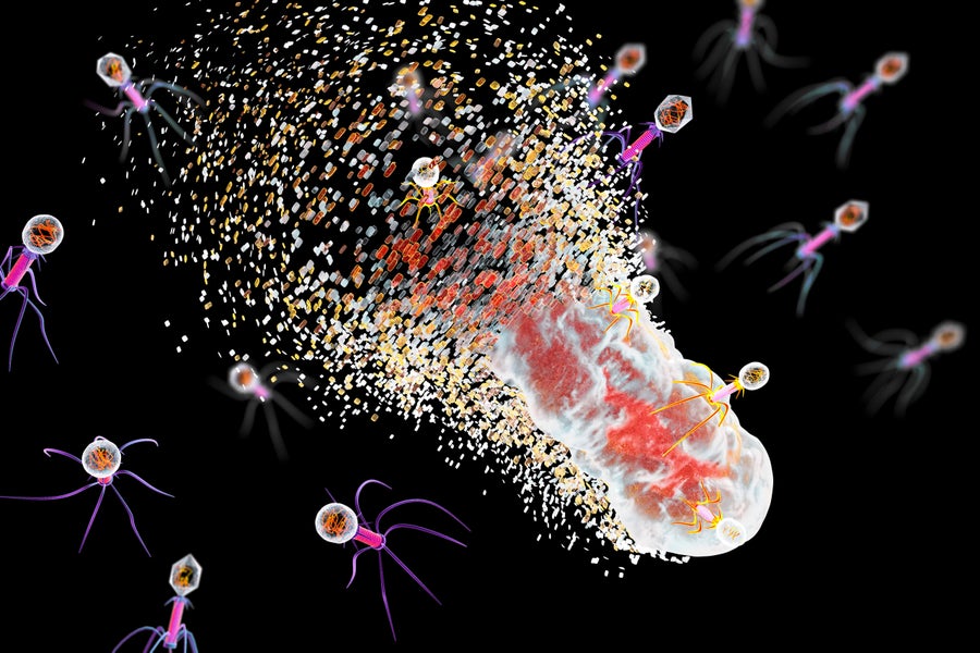 Dangerous 'Superbugs' Are on the Rise. What Can Stop Them? | Scientific ...