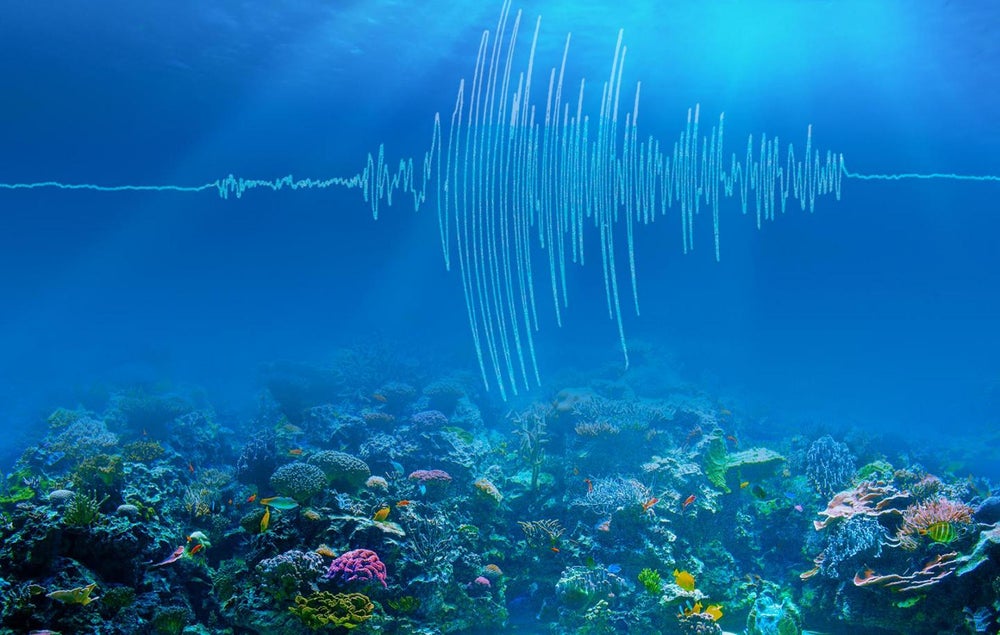 Undersea Earthquakes Reveal Sound Warming Info | Scientific American