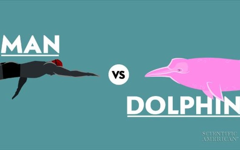 An Olympic Showdown: Human versus Dolphin - Scientific American